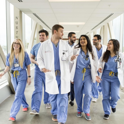 Observership vs. Externship: Understanding the Differences in Medical ...